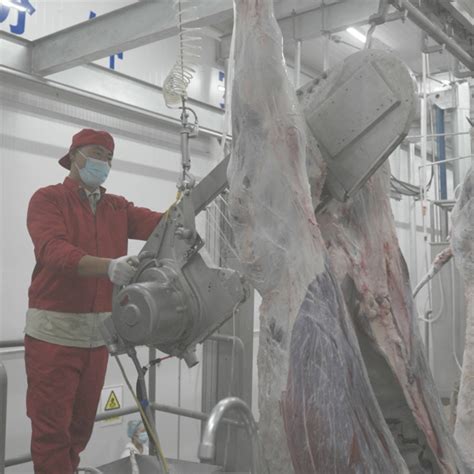 Abattoir Equipment Cattle Cow Splitting Saw Slaughtering Machine