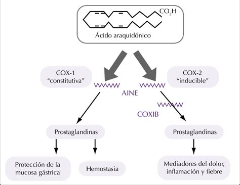 Mecanismo De Acción De Los Aine Download Scientific Diagram