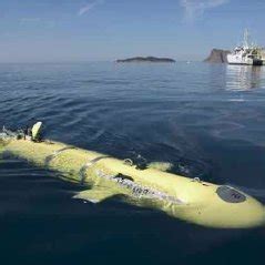 View Of The Q FLEX QA Electrostatic Accelerometer Source Download Scientific Diagram