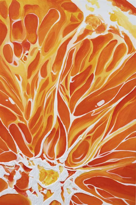Orange Fruit Food Illustration Maral Varolian Artofit