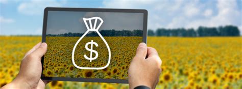 Освітня онлайн платформа «Агрокебетиpro відкриває безкоштовний доступ одразу до 10 курсів