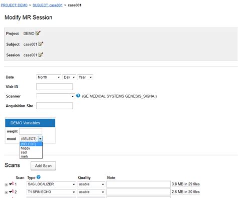 step 6 of 8 create a custom variable set