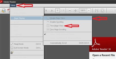 viewing pages side by side from a single pdf solved page 3