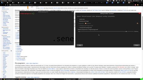 1204 Problem In Background Transparency On Terminal Ask Ubuntu
