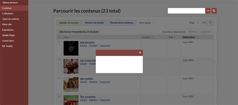 Problem With A Plugins Exporttypes Plugins Omeka Forum