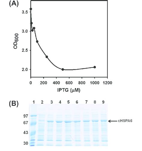 Growth Vs Inducer Concentration A Effect Of Iptg Concentration On Download Scientific