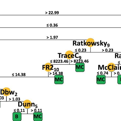 c4 5 model distinguishing binary b from multi class mc non uniform