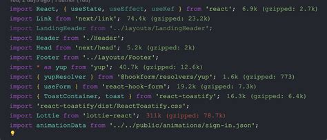 Javascript Why Is My Lottie Animation Loading Properly On Localhost