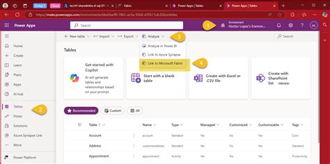 Dataverse Meets Fabric Direct Link
