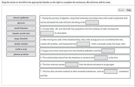 Solved Drag The Terms On The Left To The Appropriate Blanks