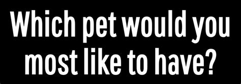 Answer These Random Questions And We Ll Tell You How Many Times You Ll Have Sex In 2019