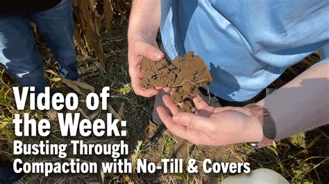 Video Of The Week Busting Through Compaction With No Till And Covers