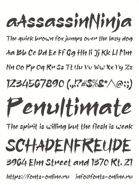 Aassassinninja Font
