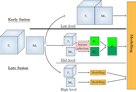 Figure From Early Soft And Flexible Fusion Of EEG And FMRI Via Tensor Decompositions