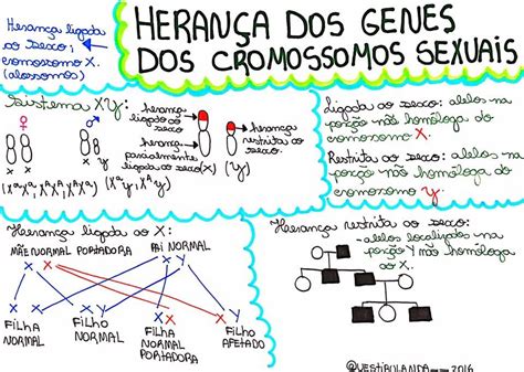 Mapa Mental Faculdade De Biologia Genética Resumo