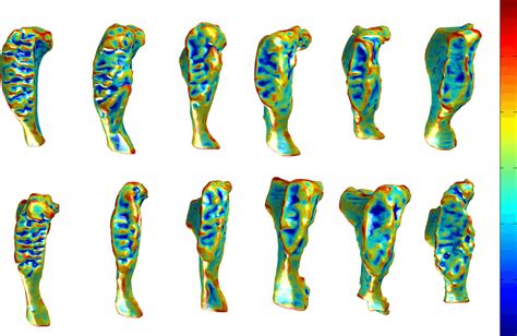Colour Coded Images Of The Results Of The Curvature Analysis On The Download Scientific Diagram