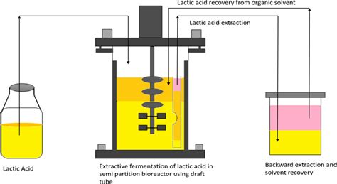 Reactor Modification For Extractive Fermentation Of Lactic Acid Where A