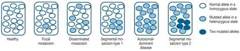 Disorders Caused By Genetic Mosaicism Pmc