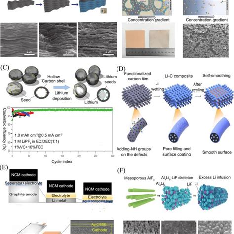 Artificial Solid‐state Interphase Design For Li Metal Anode A Download Scientific Diagram