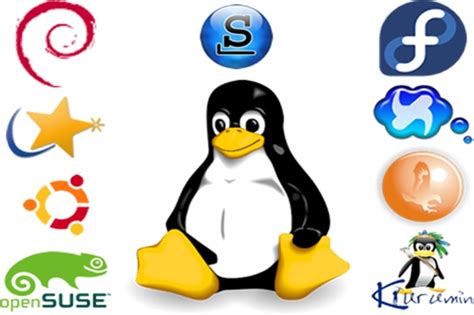 Setup Anything On Linux Based Server By Lokendrabam Fiverr