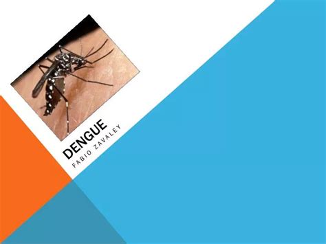 Ppt Dengue Powerpoint Presentation Free Download Id 2007598