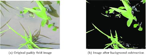 Sample Image From Dataset Created By Ma Et Al Download Scientific Diagram