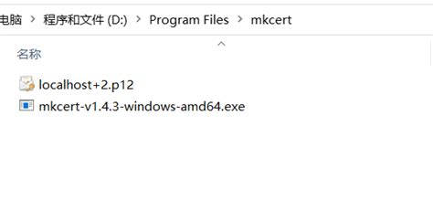 Windows 开发环境使用 mkcert 为本机 localhost 自签 SSL 证书 原来是李 博客园