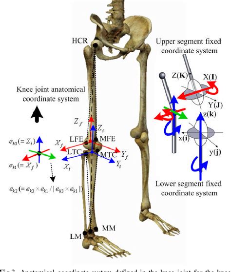 Table I From Ambulatory Estimation Of D Lower Limb Gait Posture In Anatomical Coordinate Frame