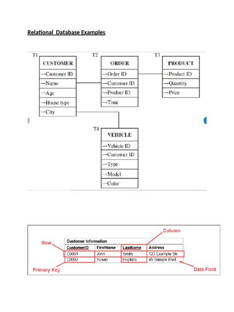 Examples Mis Pdf