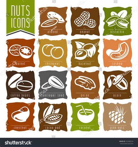 Nuts Icon Set 2 Stock Vector Royalty Free 252406216 Shutterstock
