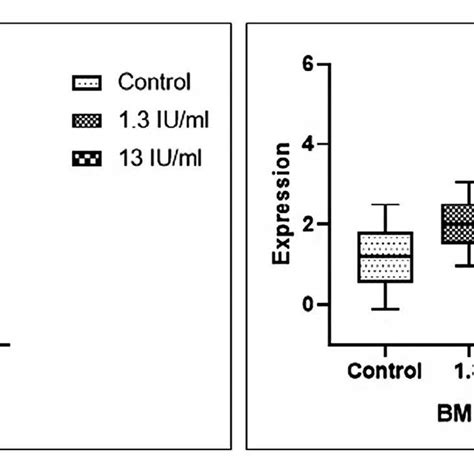 level of relative expression of mrna of runx2 and bmp2 genes associated