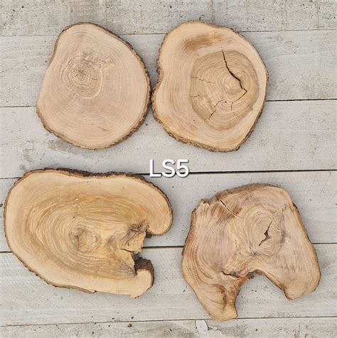 Tree Log Slices For Rustic Crafts Perfect For Diy Projects And Crafts