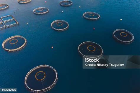 바다 물고기 농장 케이지와 어망 양식 황새 도미 및 농어의 공중 드론 평면도 물고기에게 마초를 먹이고 배경에 해양 풍경과 산 아드리아 해 0명에 대한 스톡 사진 및 기타