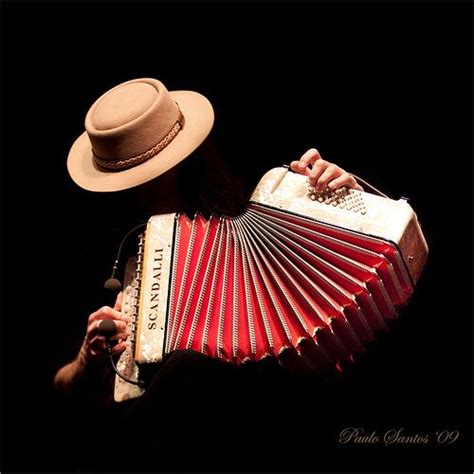 57 Best Everything Else About The Accordion Images On Pinterest Accordion Instrument