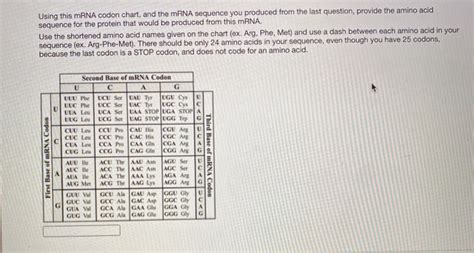 solved using this mrna codon chart and the mrna sequence