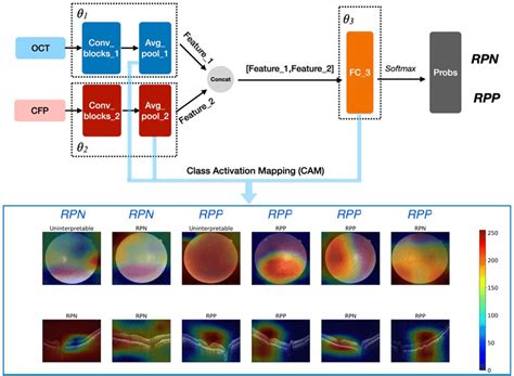 The Architecture Of The Proposed Cnn Model With Class Activation Download Scientific Diagram