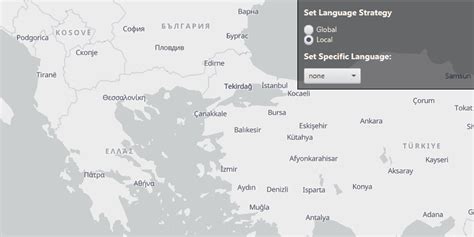 Configure Basemap Style Parameters Arcgis Maps Sdk For Java Esri