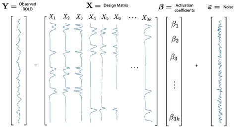 A Basis Constrained GLM Design Matrix The Basis Set Consists Of The Download Scientific
