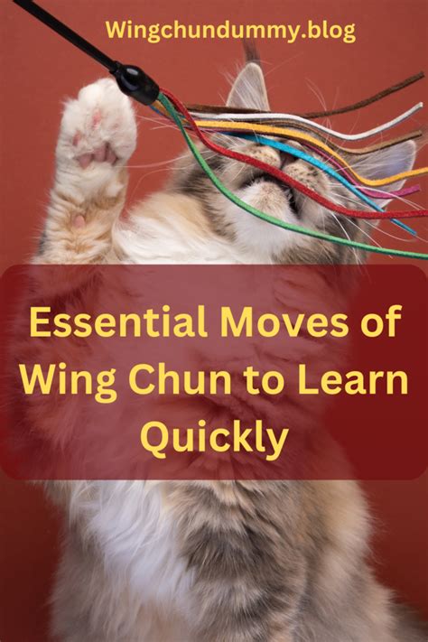 Essential Moves Of Wing Chun To Learn Quickly
