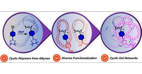 Functionalized Cyclic Polymers And Network Gels Macromolecules