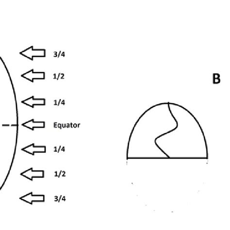A Schematic Showing The Longitudinal Axis Along Which The Length Download Scientific Diagram