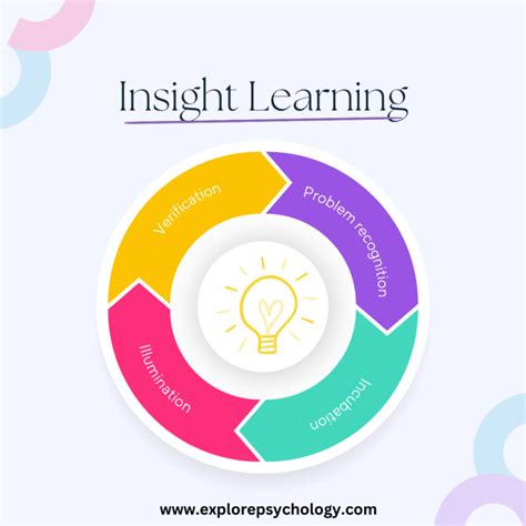 Insight Learning Theory Definition Stages And Examples Insight Learning Theory Definition Stages And Examples
