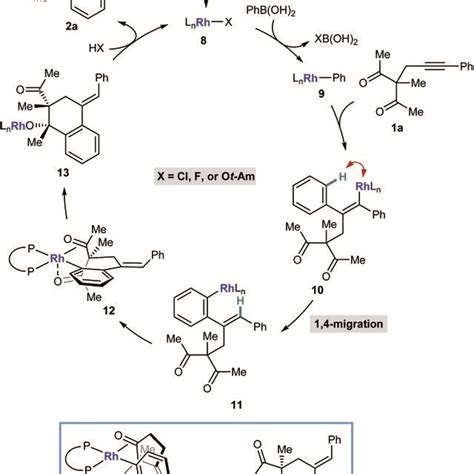 Possible Catalytic Cycle And Rationalization Of Diastereochemical