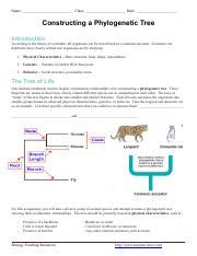 Constructing A Phylogenetic Tree Pdf Name Class Date Constructing A Phylogenetic Tree