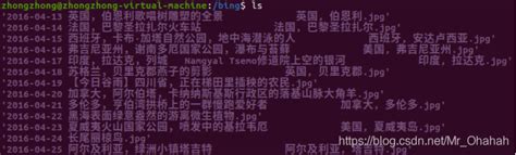 linux编写shell脚本程序实例2 下载bing图库中的图片 下载bing图库中图片 csdn博客