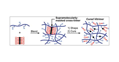 Cross Linking Vitrimers After Melt Processing Using Supramolecularly Masked Dynamic Cross