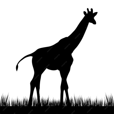Vector De Silueta De Jirafa Vector Premium