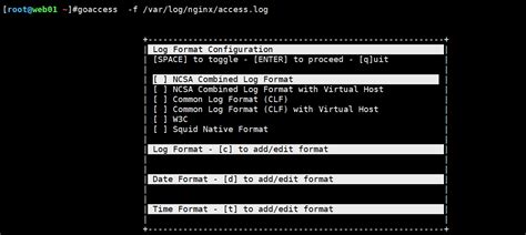 Goaccess 日志分析工具 Csdn博客