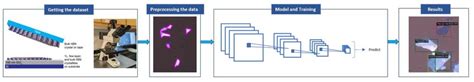 Proposed Deep Learning Pipeline For 2d Flake Detection Download
