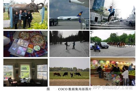 实例分割实验数据集coco 知乎